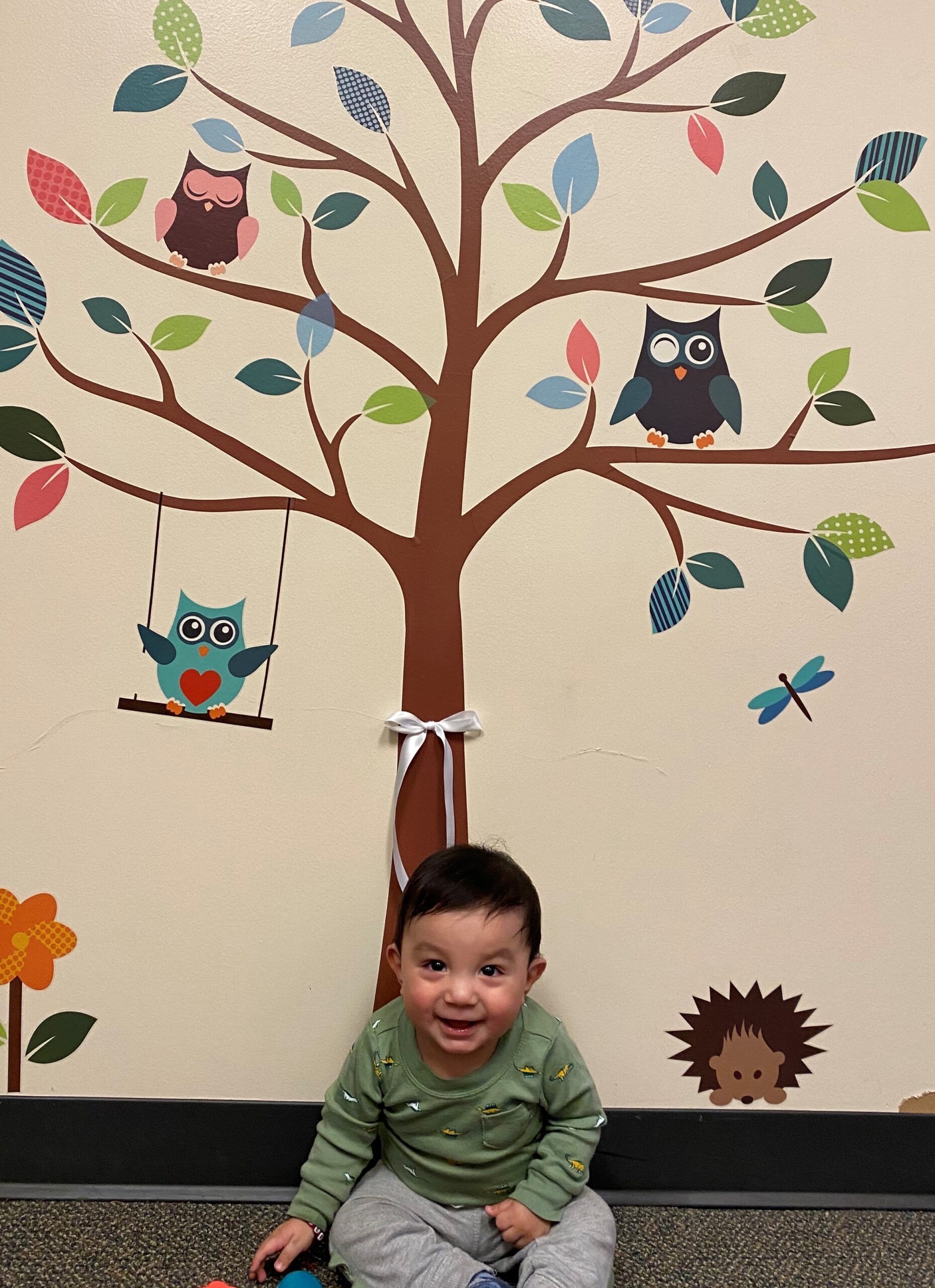 Social Cognitive Development Lab